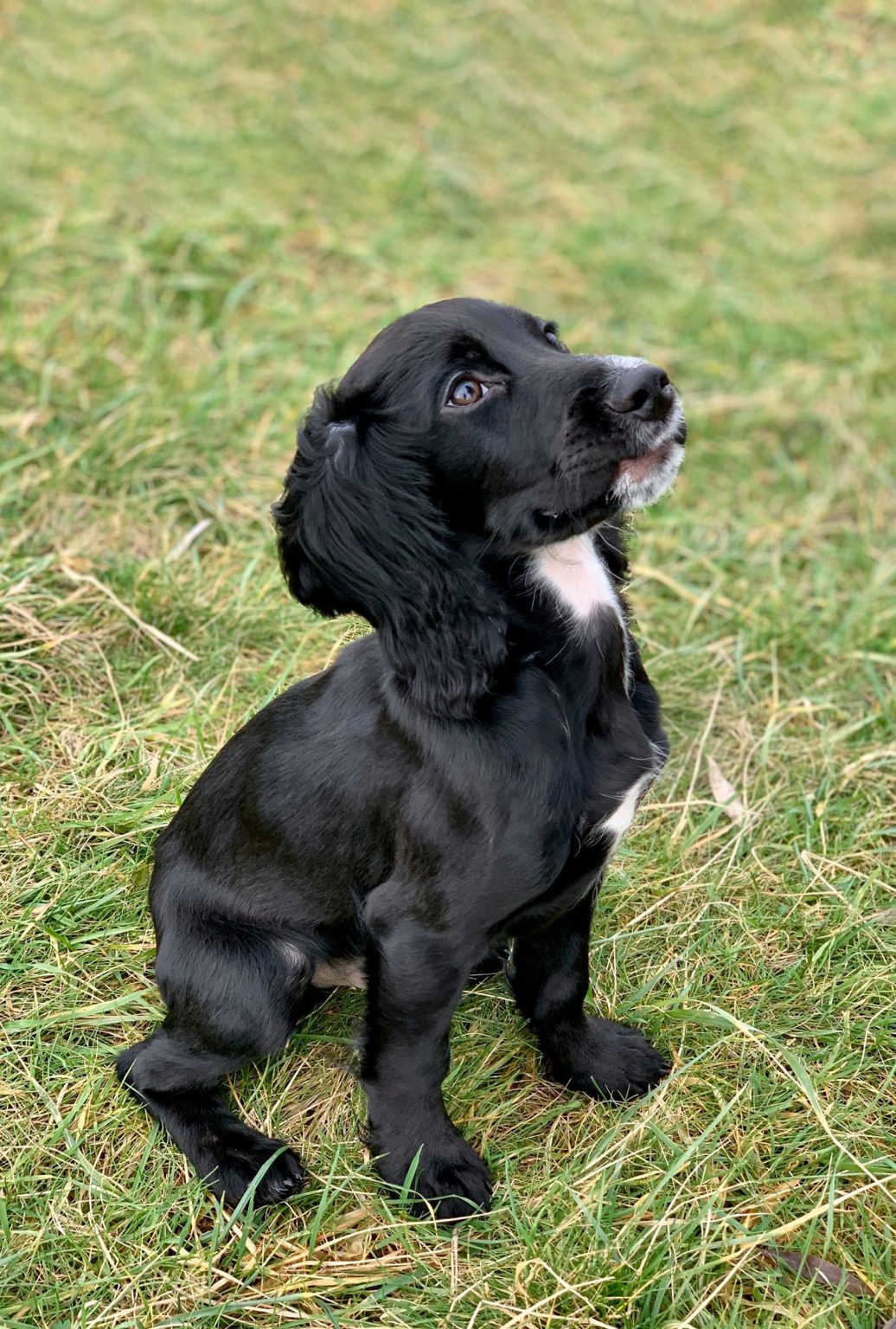 Home - Manor Farm Bourn